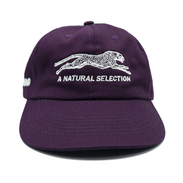 Hats – Brother Brother