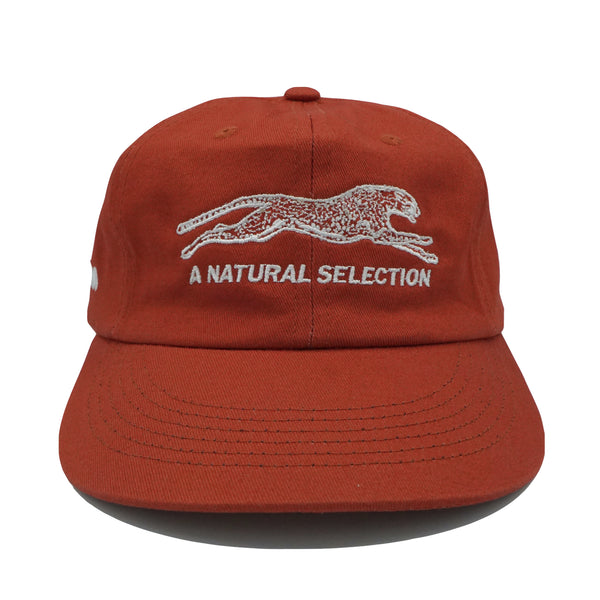 Hats – Brother Brother